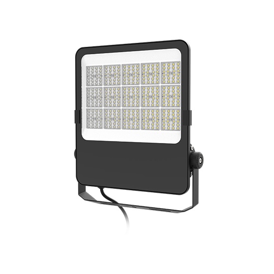 RD Series Flood Light