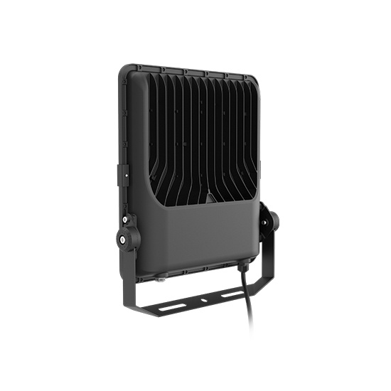 RD Series Flood Light