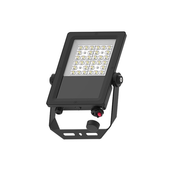 RC Series Flood Light